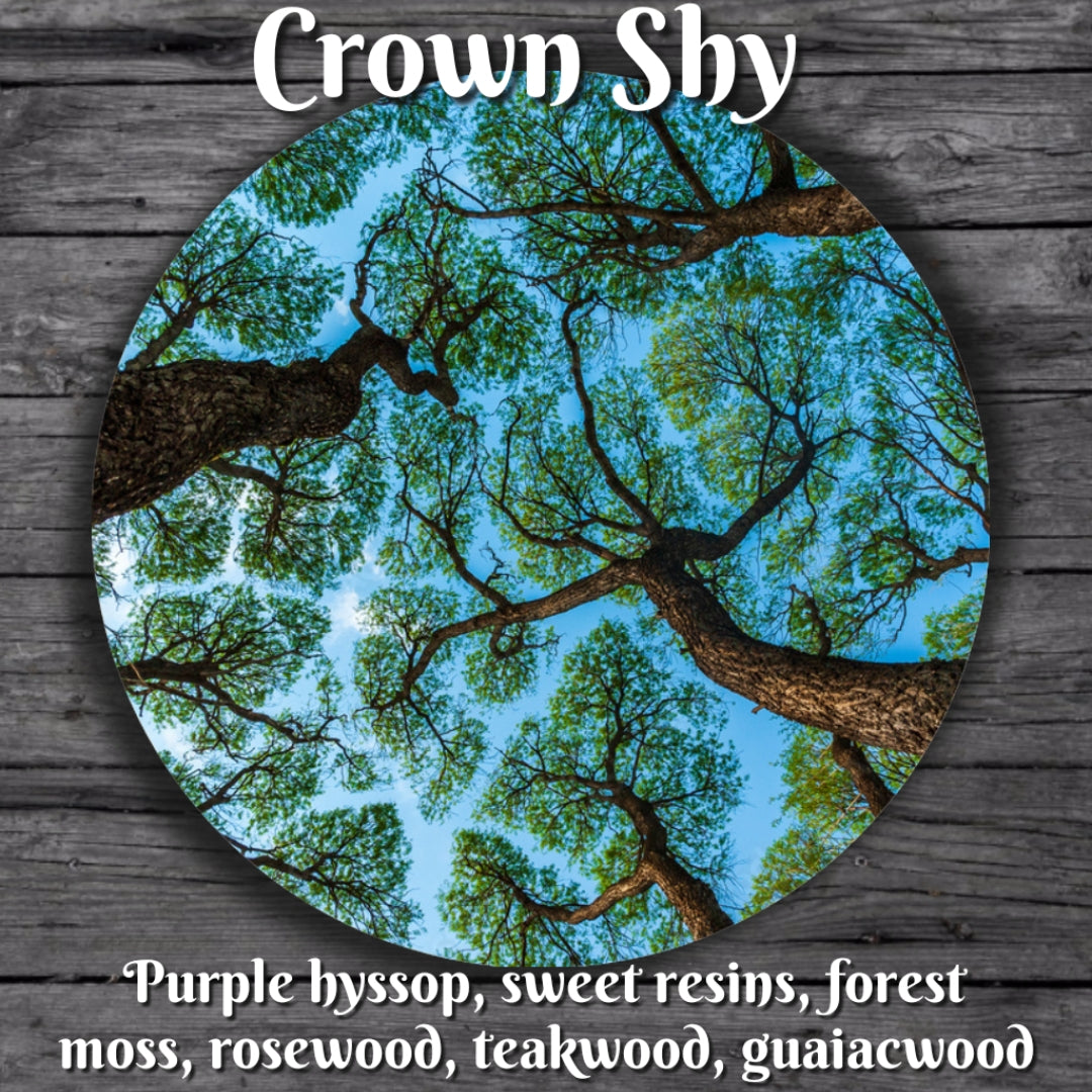 Crown Shy – Damask Haus